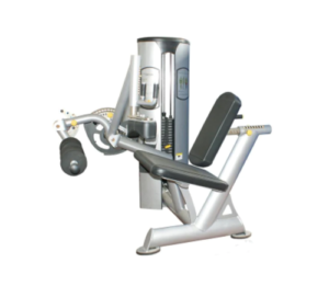 Freemotion Epic Leg Curl – WFitnessMexico