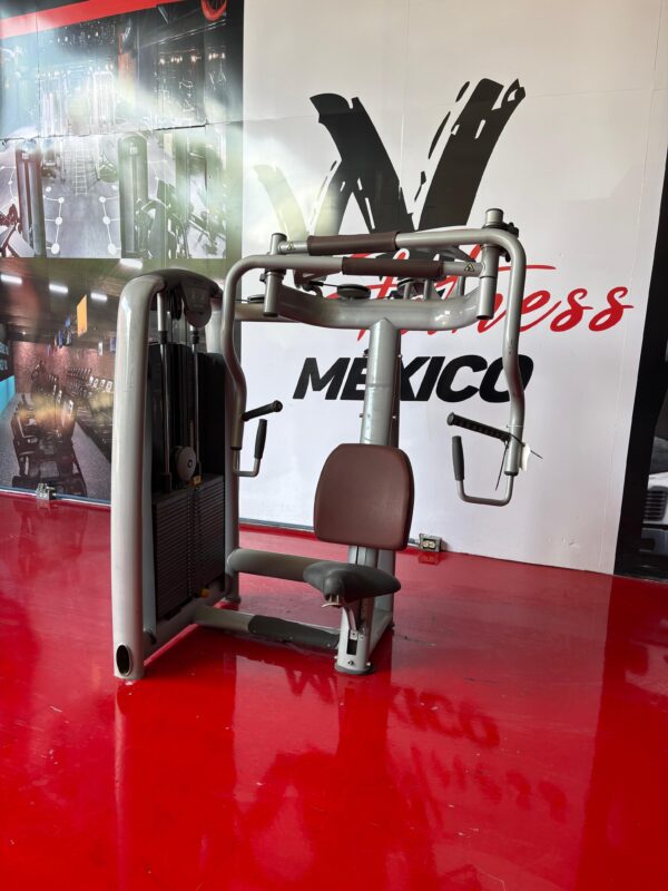 Technogym Selection Chest Press – WFitnessMexico